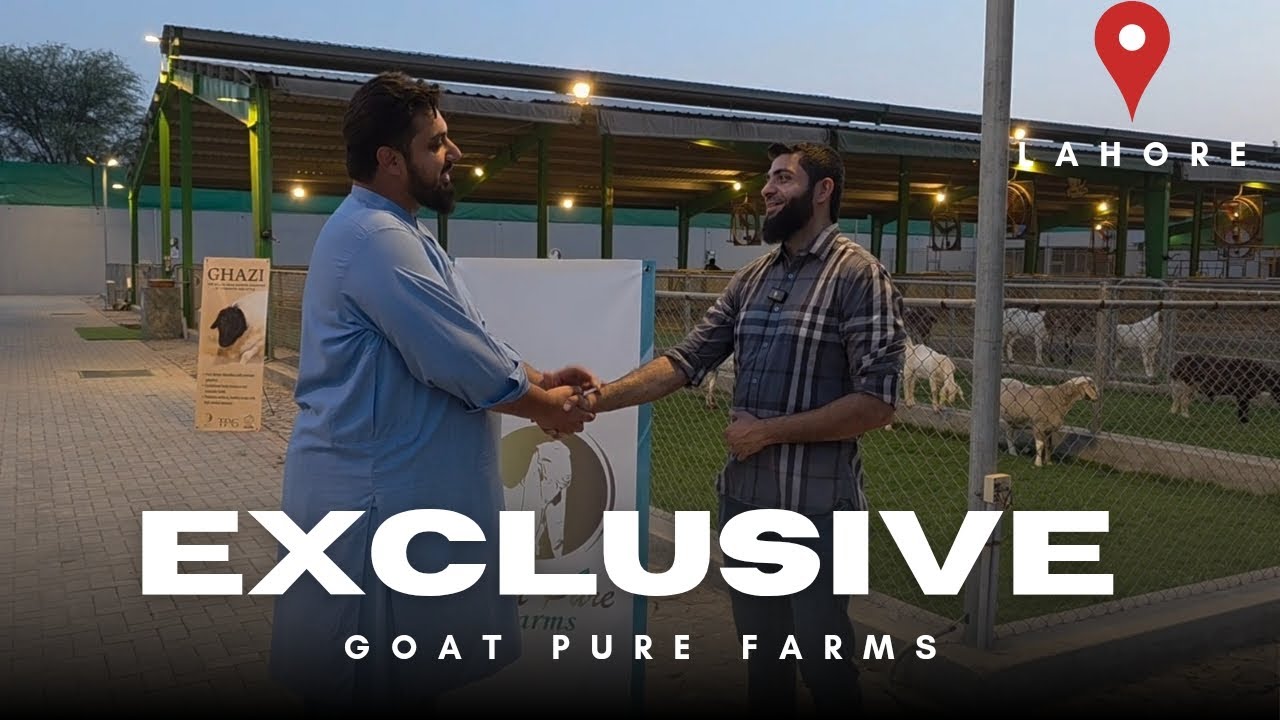 MODERN HIGH-TECH GOAT FARMING-MODERN TECHNOLOGY-DAIRY GOAT FARMING-Part ...