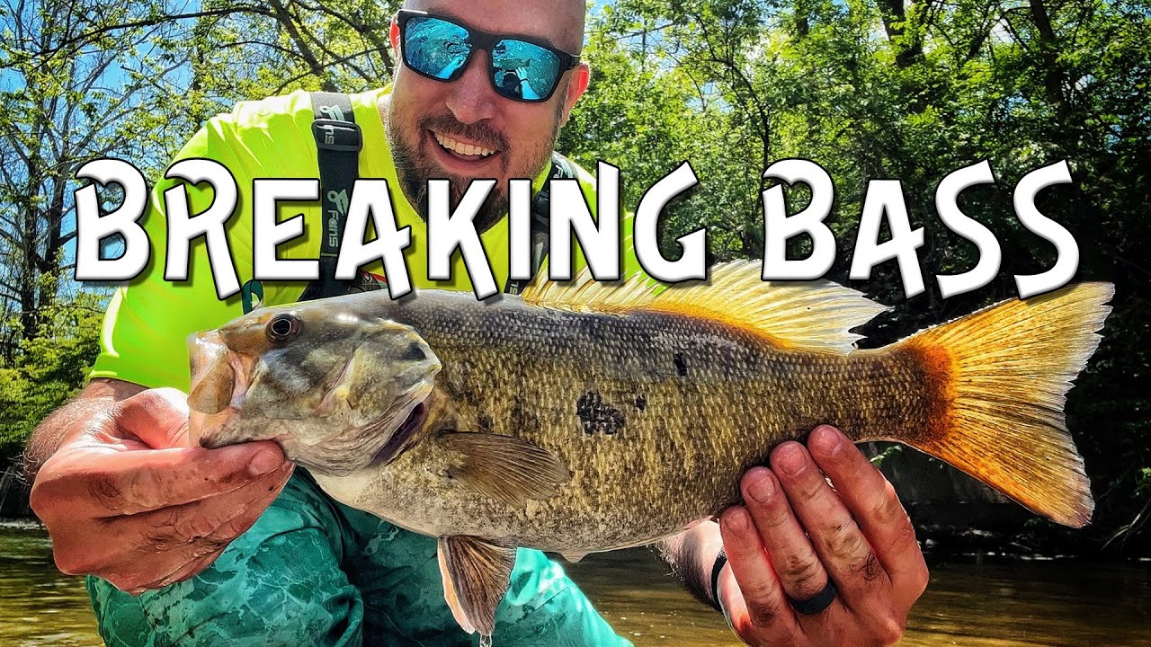 It's time to BREAK some BASS! - YouTube