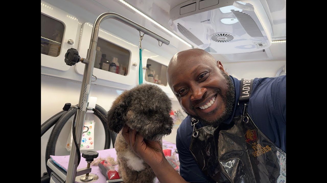 Dog Father of Harlem is live! - YouTube
