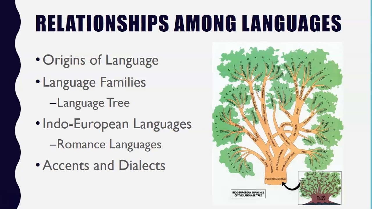 Relationships Among Languages - Unit 6 Notes - YouTube