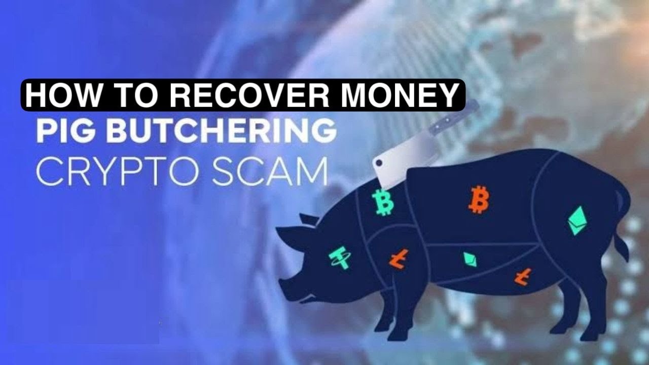 How to Get your Money back from a Pig Butchering Crypto Scam | Pig ...