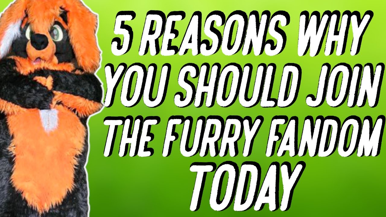 5 REASONS WHY YOU SHOULD JOIN THE FURRY FANDOM TODAY - YouTube