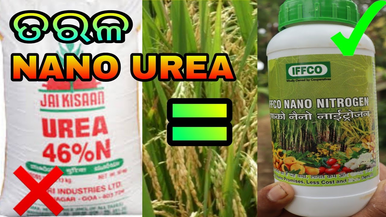 ତରଳ Nitrogen ସାର Nano urea 500ml Nano urea 1ବସ୍ତା urea ସାର ସହ ସମାନ ...
