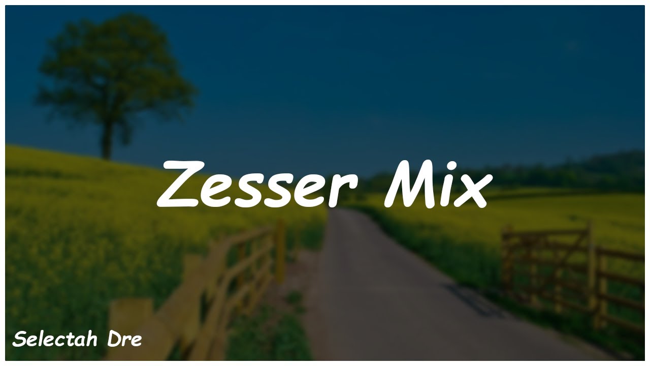 Zesser Mixtape - Selectah Dre - YouTube