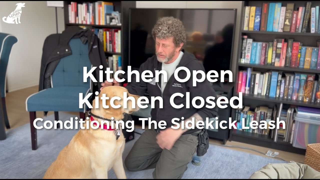 Conditioning The Sidekick Leash With The Kitchen Open / Closed Exercise ...