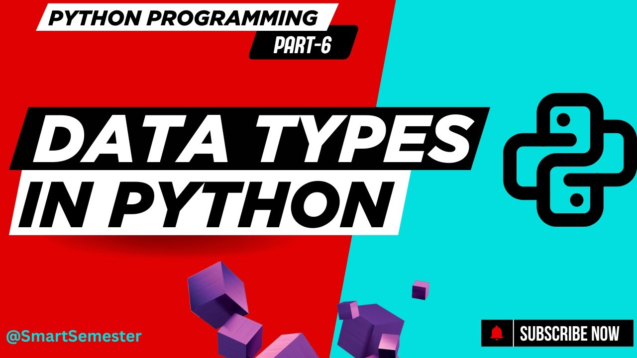 Primitive Data Types | Python Programming | Basics to Advanced Concepts - YouTube