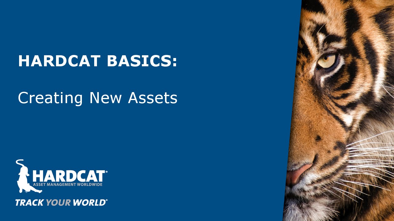 Hardcat Basics - Creating a New Asset (720p) - YouTube