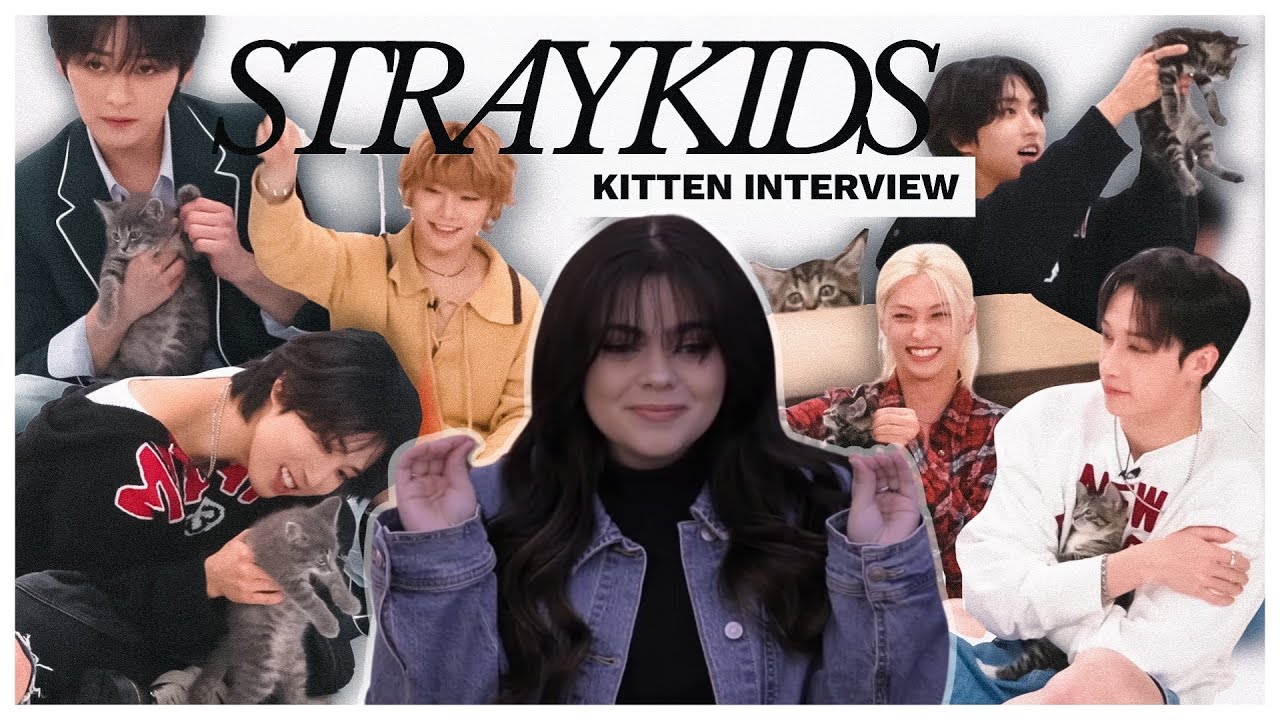Heart is melting | Stray Kids - The Kitten Interview REACTION - YouTube