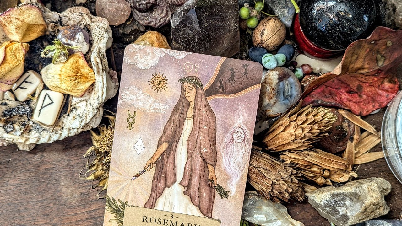 August 2024, Regulus Fixed Star, Ending Leo ♌🦁 Season, Water Alchemy ...