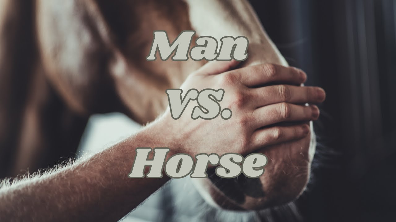 Man Vs Horse #video #pets #animal #horse - YouTube