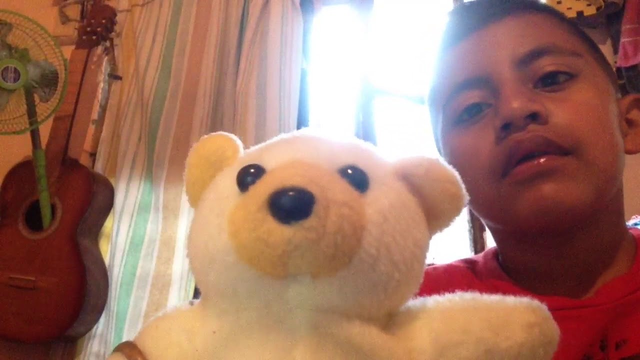 La vida de el osito - YouTube