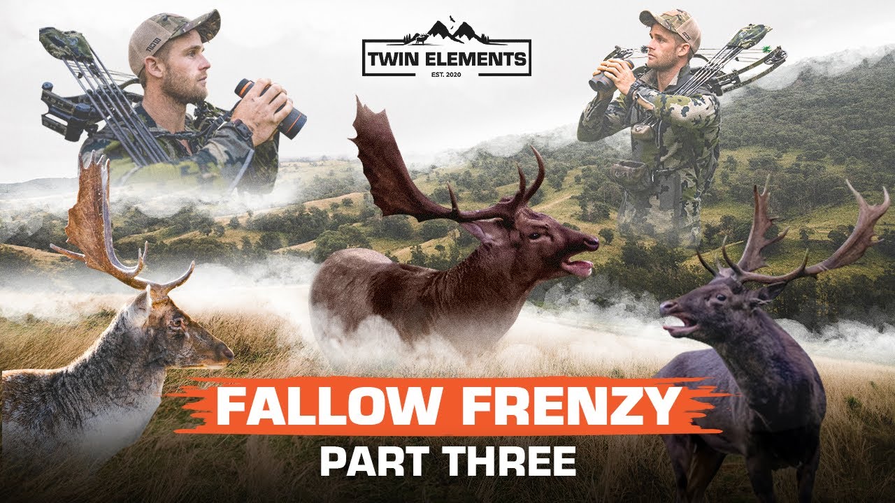 “FALLOW FRENZY” - Bowhunting Croaking Fallow Bucks - Part 3 – Official ...