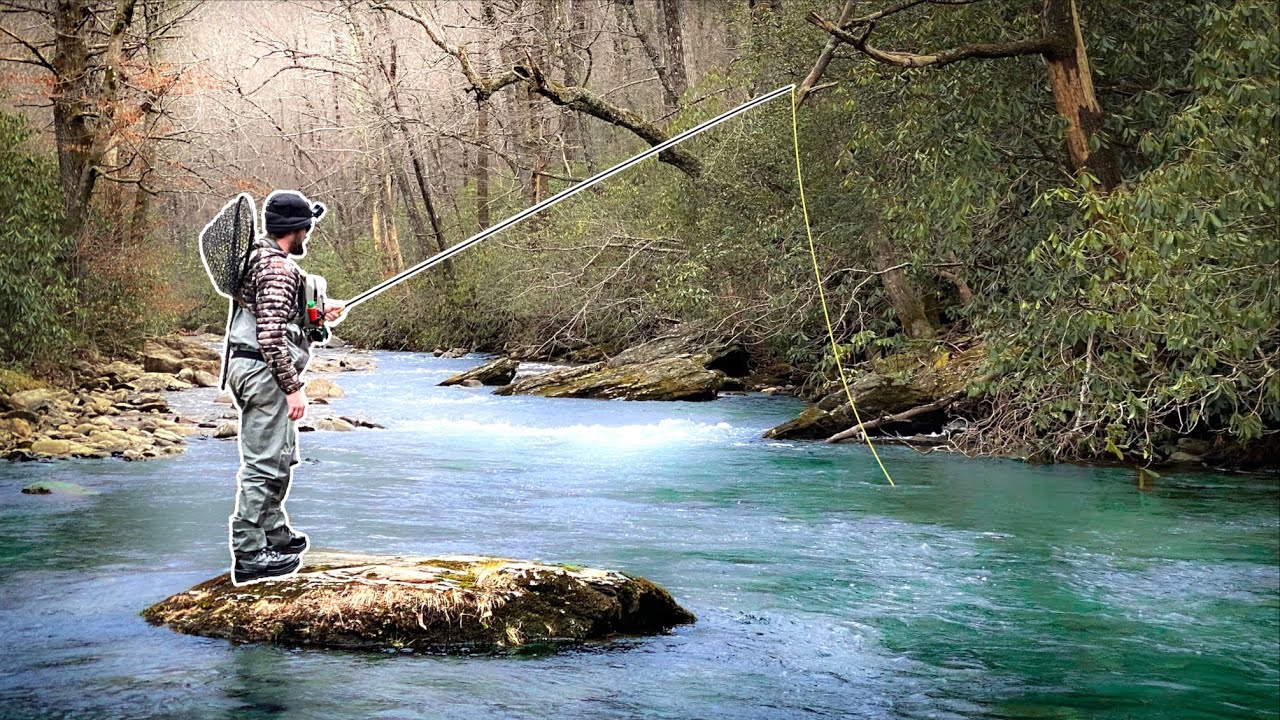 Fly Fishing South Carolina’s BEST Trout Stream - YouTube