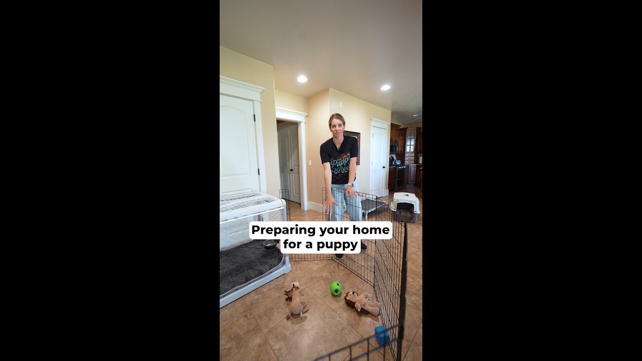 House set up.mp4 - YouTube