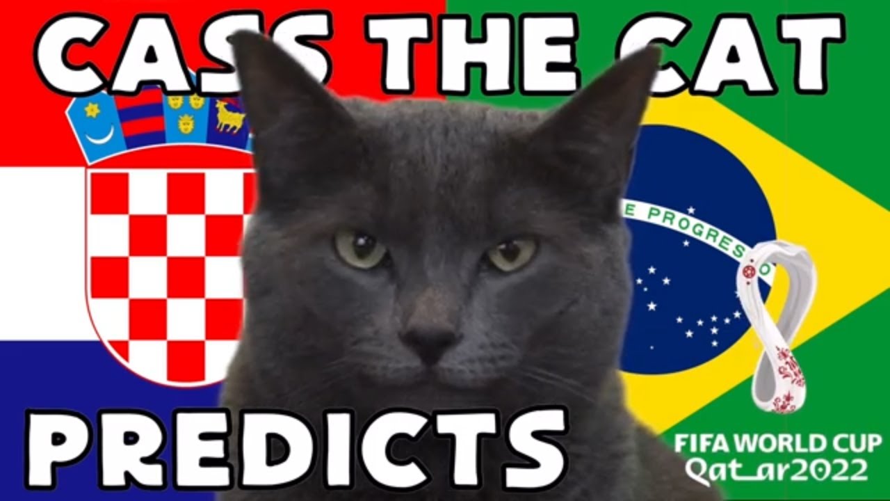 CASS THE CAT - WORLD CUP 2022 QUARTER FINAL PREDICTION - CROATIA vs ...
