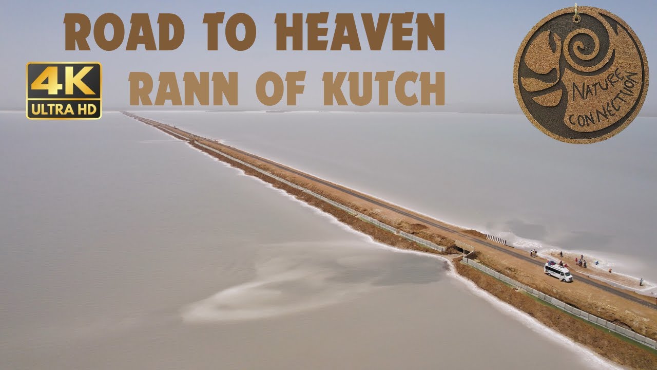 Road to Heaven | Khavda to Dholavira | Rann of Kutch, Gujarat | Drone ...