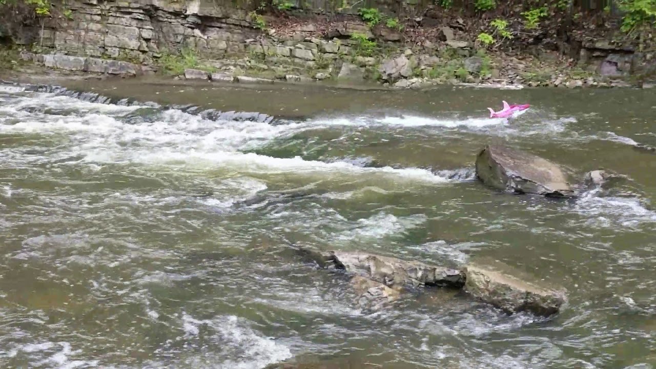 Shark Streamline RC Thrasher RC Jet boat(6) - YouTube