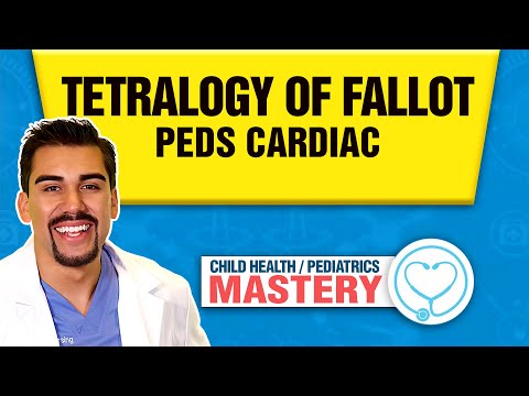 Why Tet Spells Occur In Tetralogy Of Fallot
