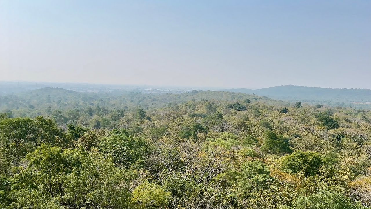 Narsapur forest urban park full video, shot in 4K. - YouTube