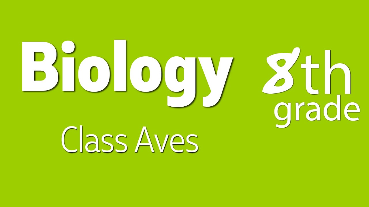 Biology 8 | Class Aves - YouTube