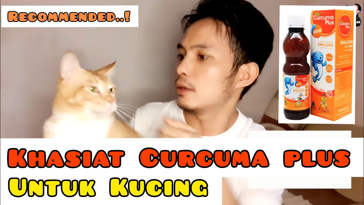 CURCUMA PLUS UNTUK KUCING - manfaat vitamin curcuma plus untuk kucing ...