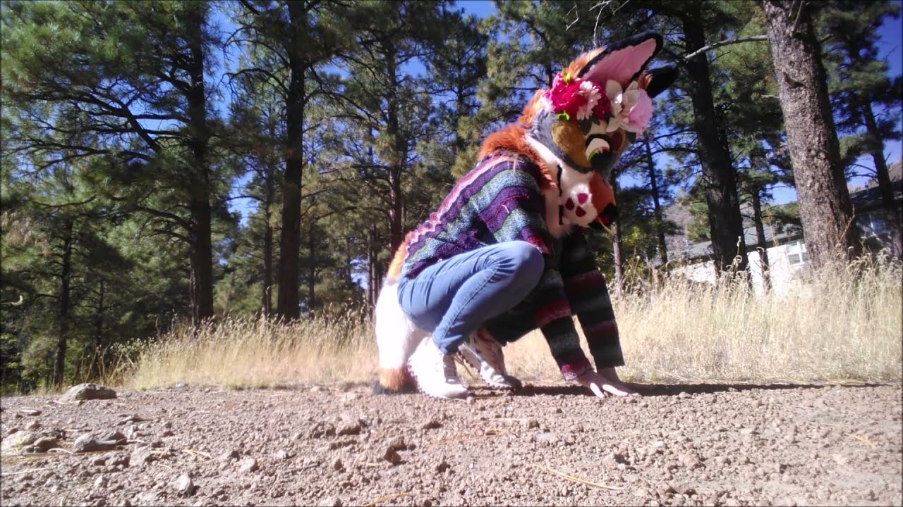 (Attempting) Quadrobic Running and Jumping - YouTube