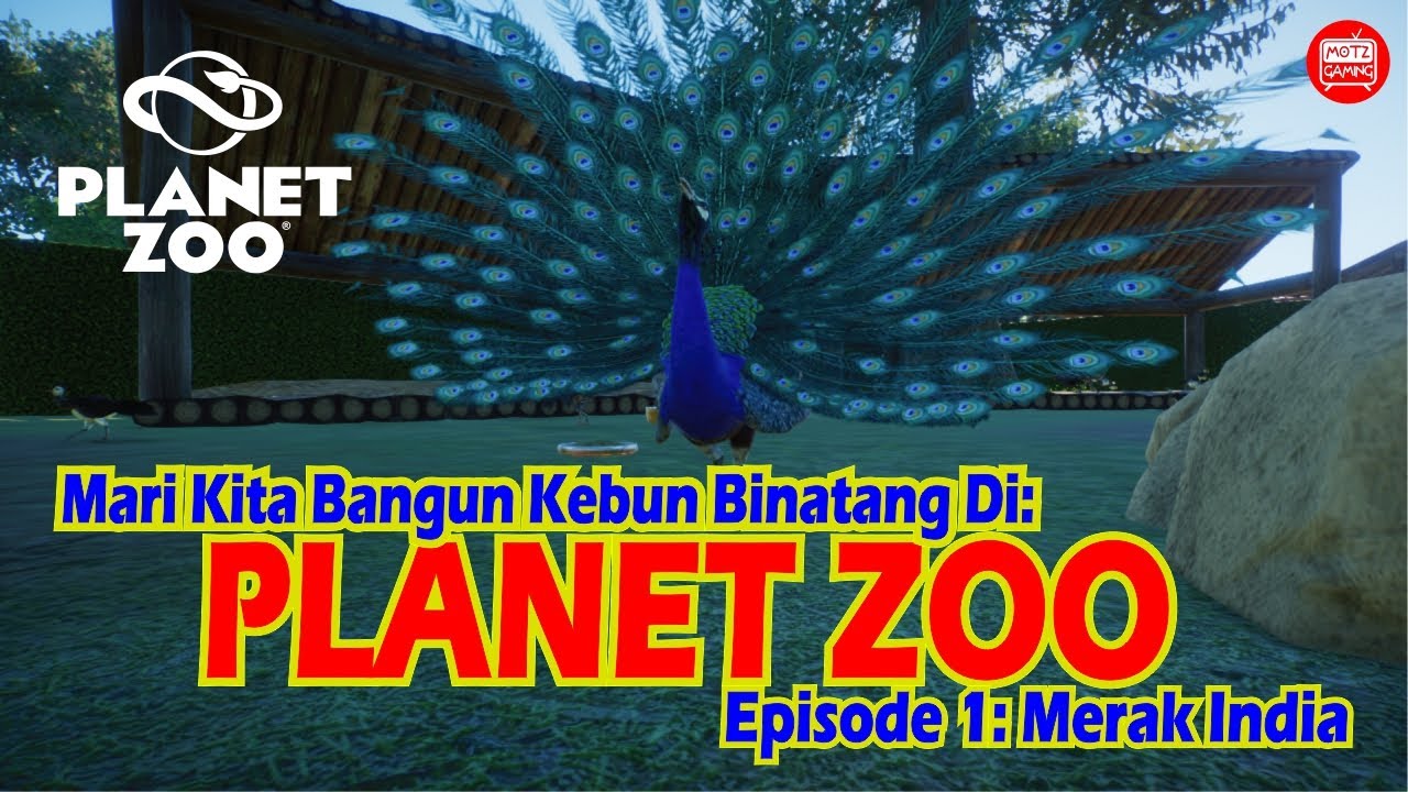 Memulai Planet Zoo Dengan Merak India | Planet Zoo Episode 1 - YouTube
