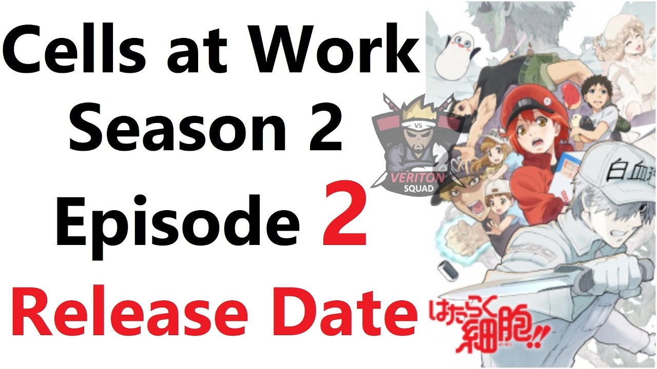 Cells at Work Season 2 Episode 2 Release Date - YouTube