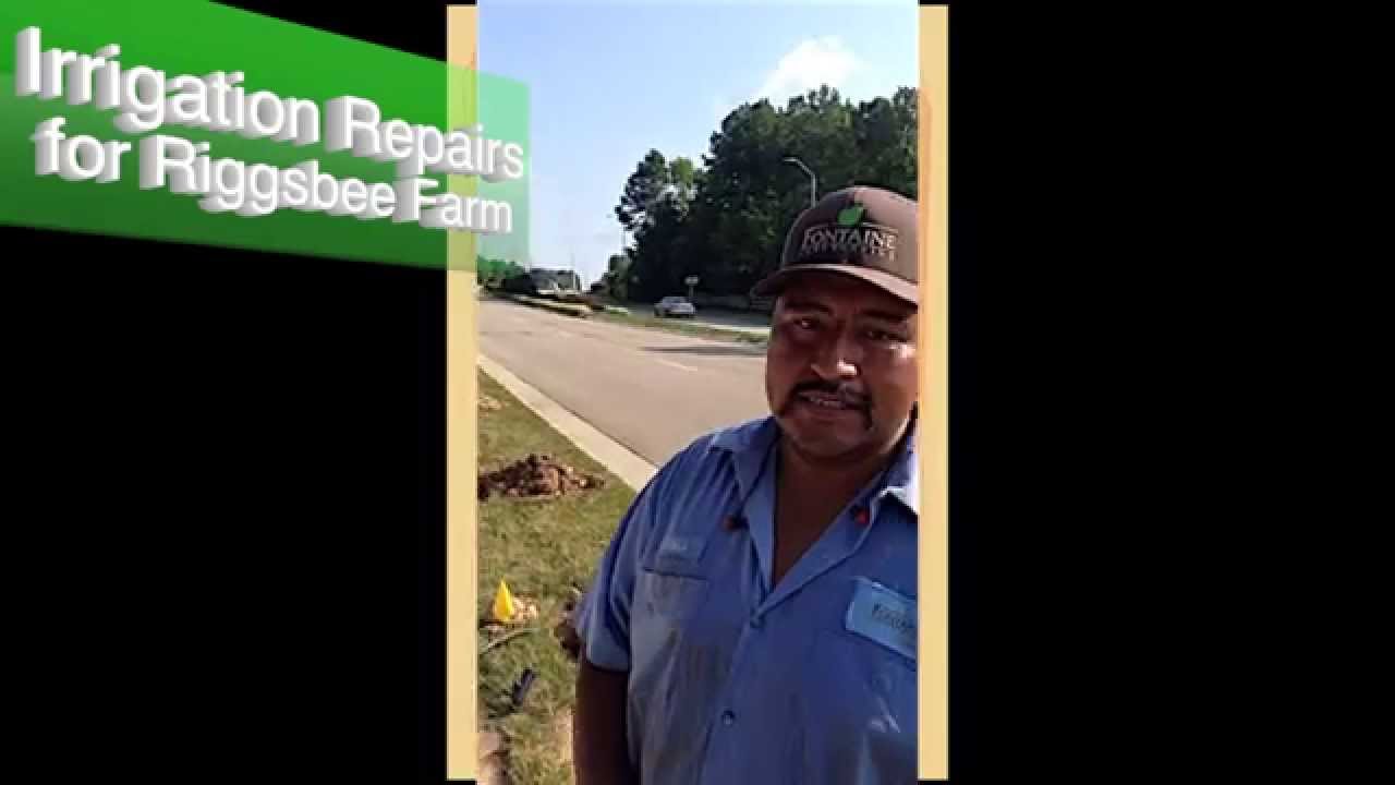 Crew Cuts - Jose @ Riggsbee Farm in Cary, NC - YouTube