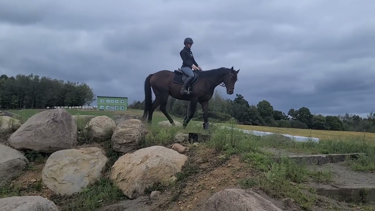 Double Derby Perks schooling at Stonegate Farm Sept 22, 2022 - YouTube