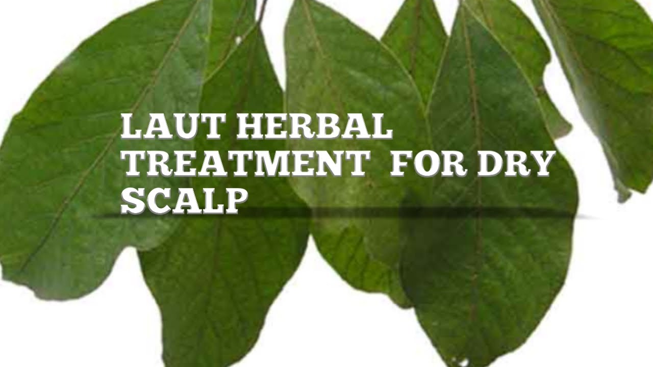LAUAT HERBAL TREATMENT FOR DRY SCALP - YouTube