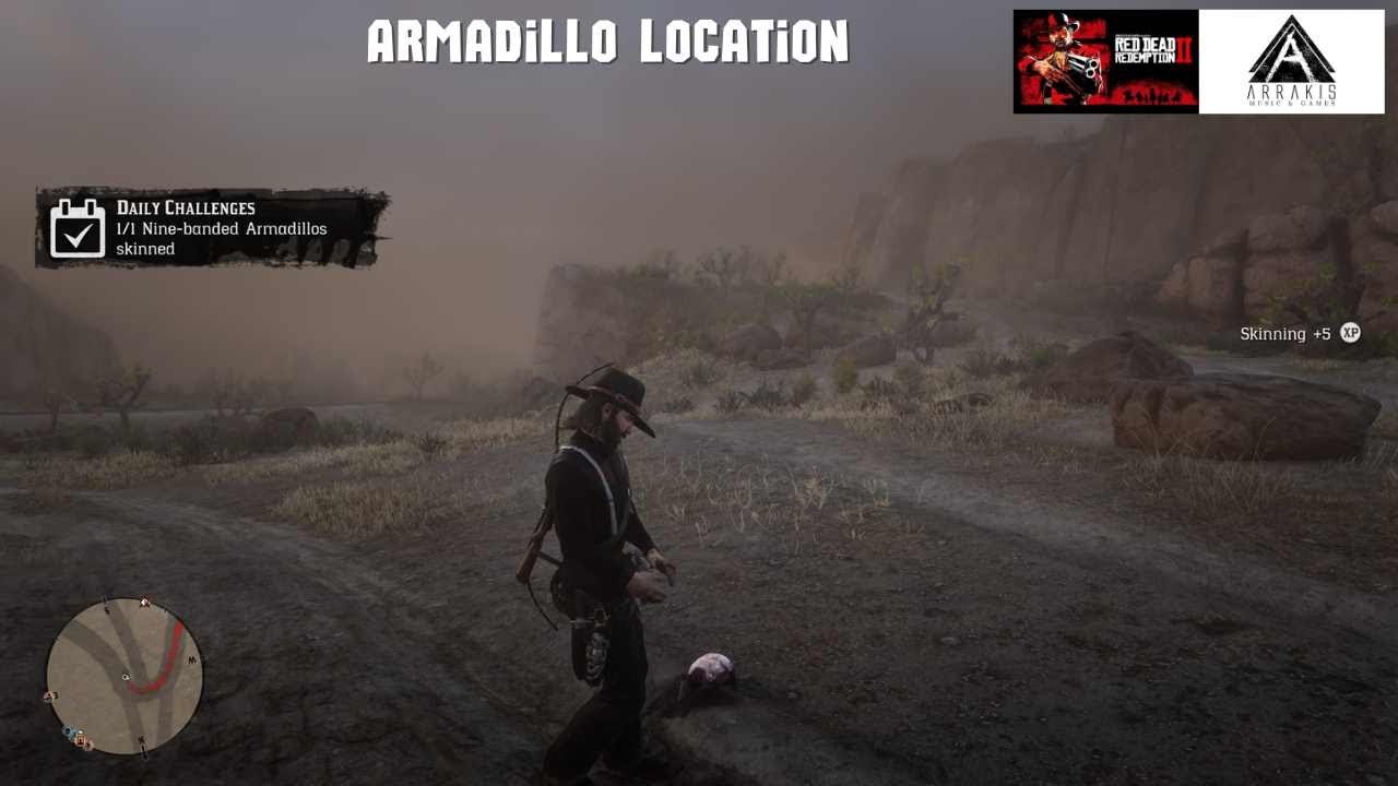 Red Redemption 2: Armadillo Location #arrakisstudio #gaming #rdr2 #xbox ...