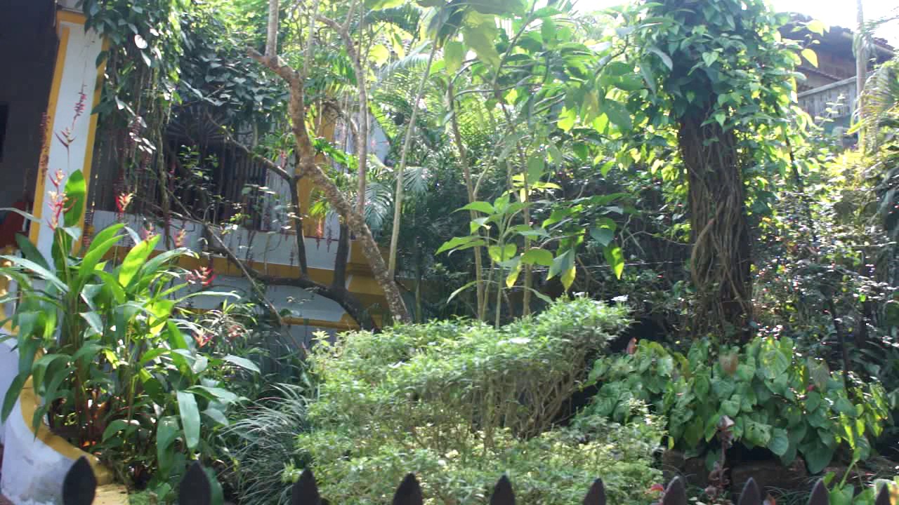 Just nice crossroads in Camurlim, Goa, India - YouTube