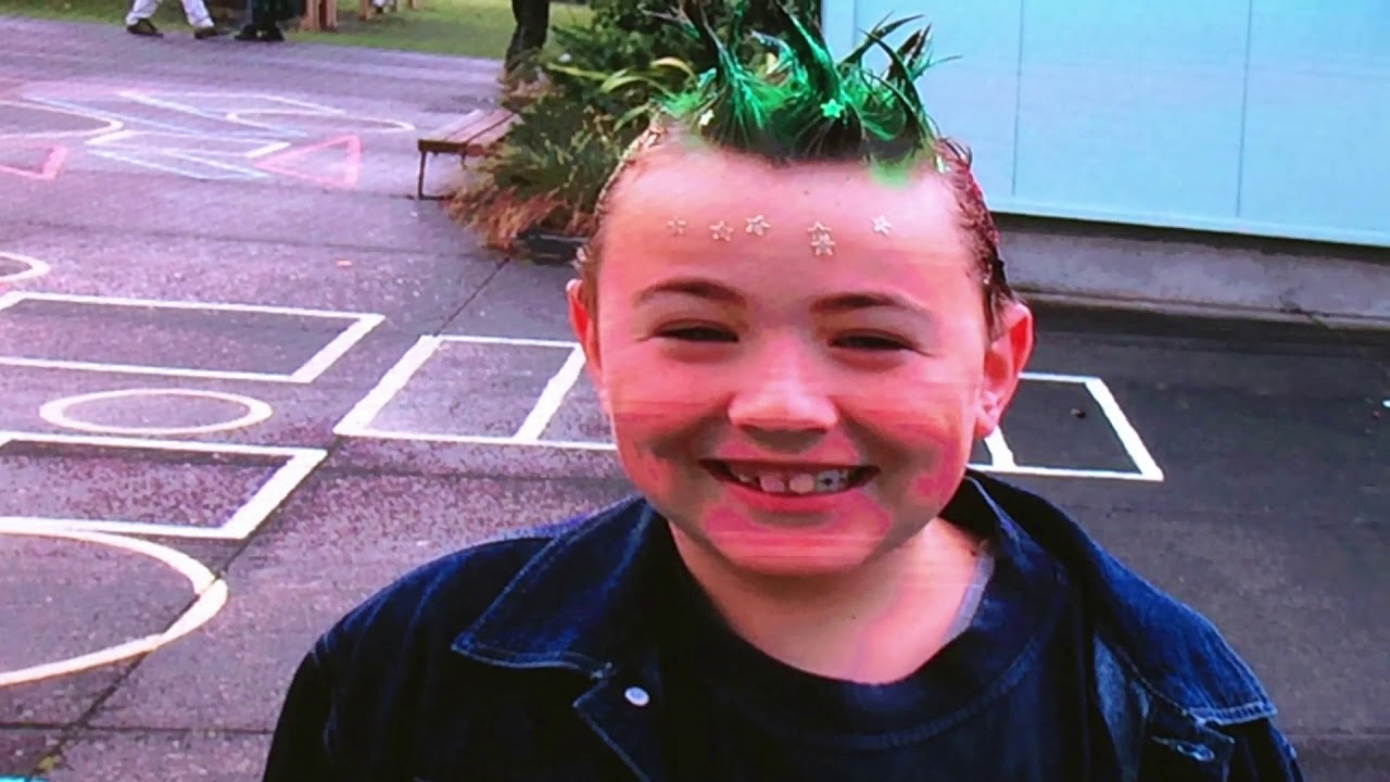 Girl boy difference, a talk by Dr Ian Lillico - YouTube