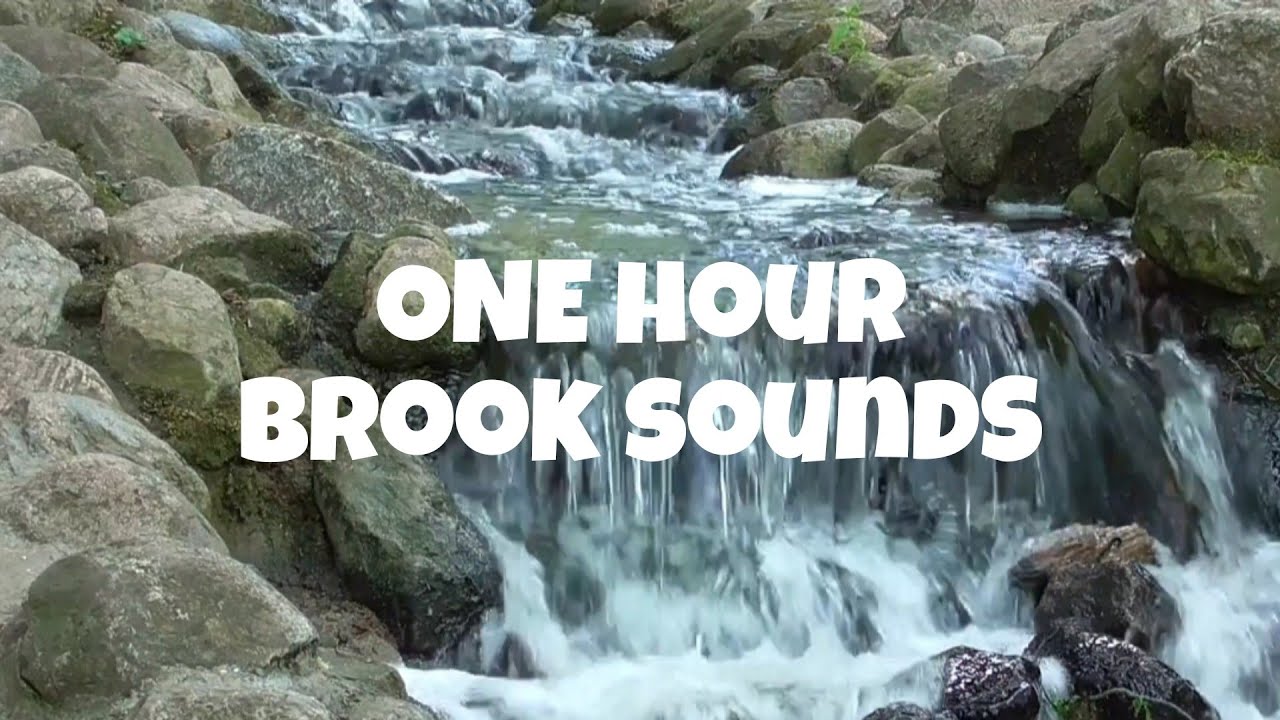 1 hour brook sounds | 1 hour of sound - YouTube