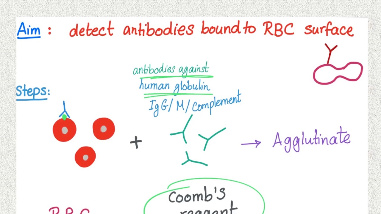 Coombs Test YouTube coombs-test-youtube
