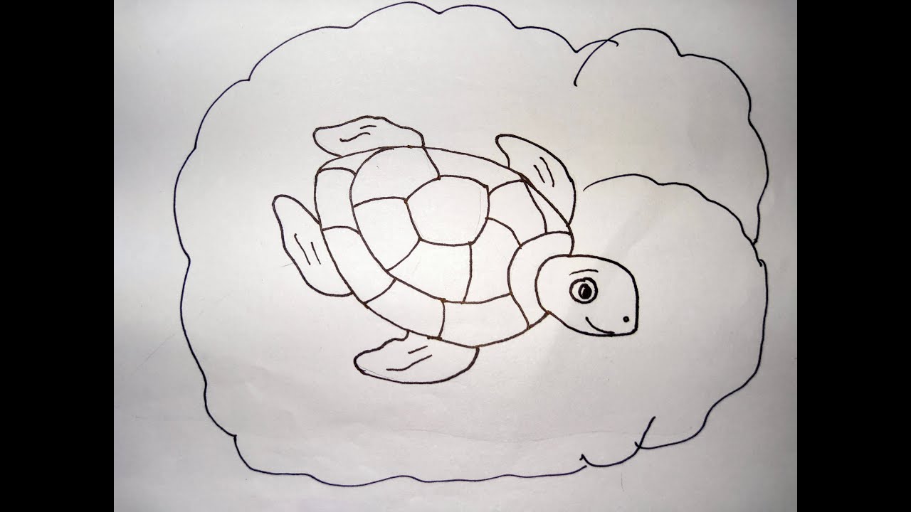 kachhua Drawing | Turtle easy drawing | How to draw a turtle | easy ...