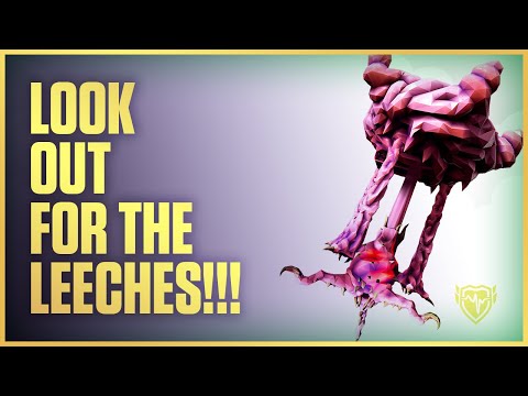 LEECHES! Careful Of The Leeches
