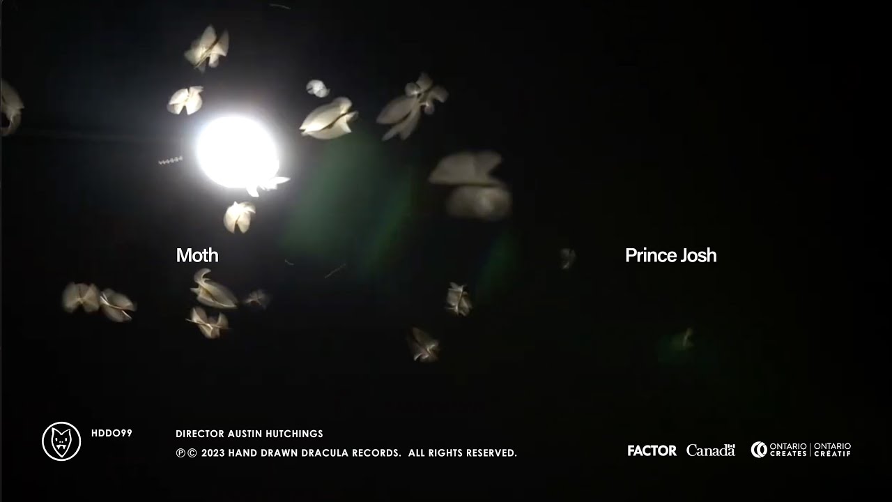 Prince Josh // Moth (Official Visualizer) - YouTube