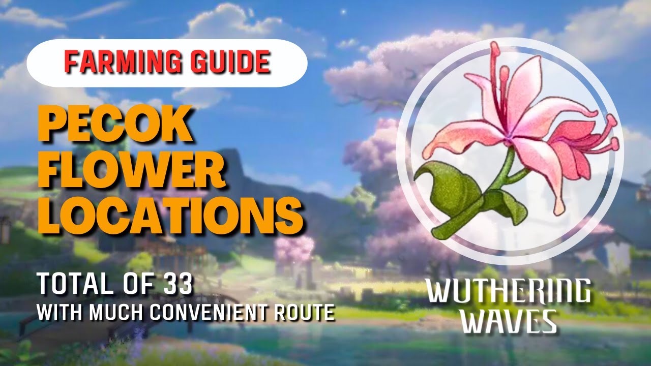 All 33 Pecok Flower Locations | Farming Route | Wuthering Waves - YouTube
