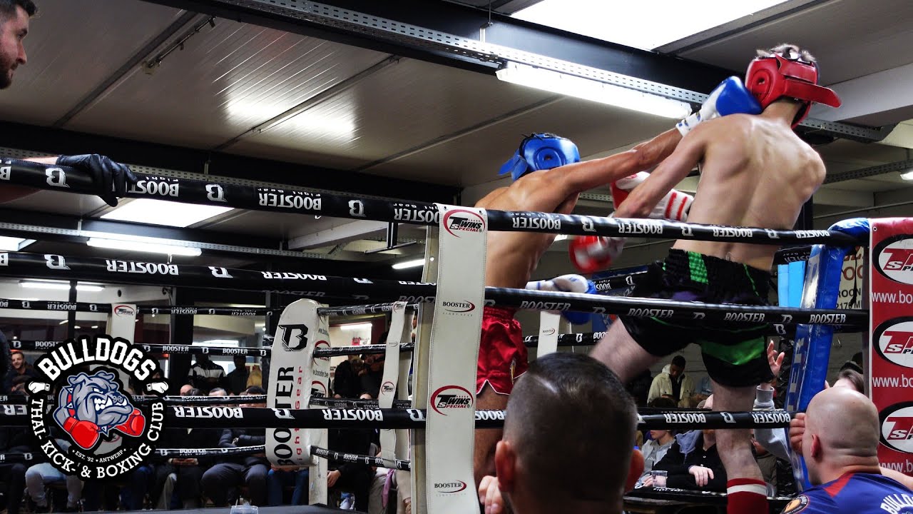 watching kickboxing matches in Bulldog Boxing Antwerp - YouTube