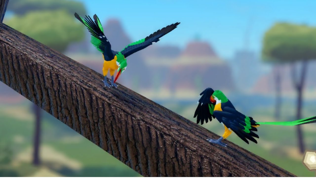 I finally got the falcatakely! (Roblox feather family) - YouTube