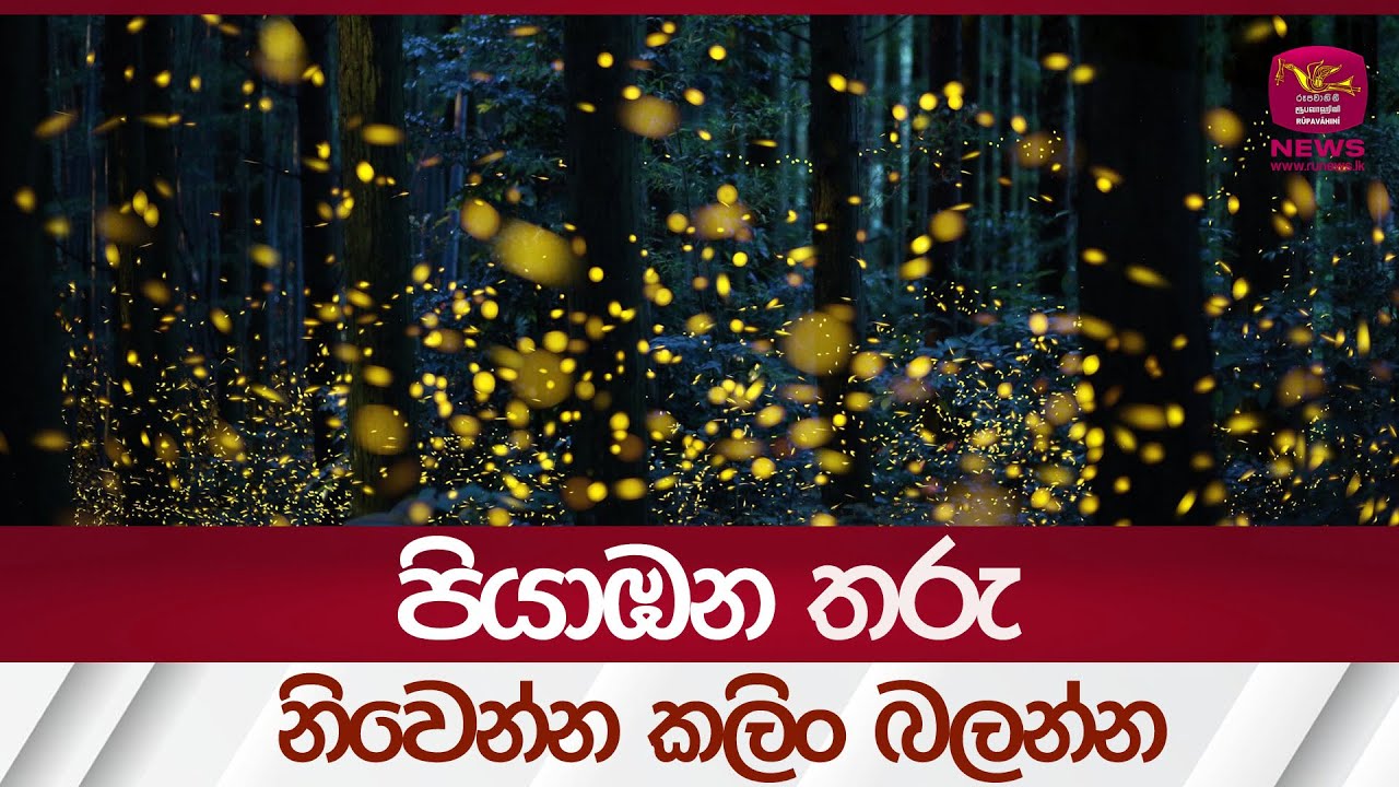 නිවෙන්න දෙන්න එපා - YouTube