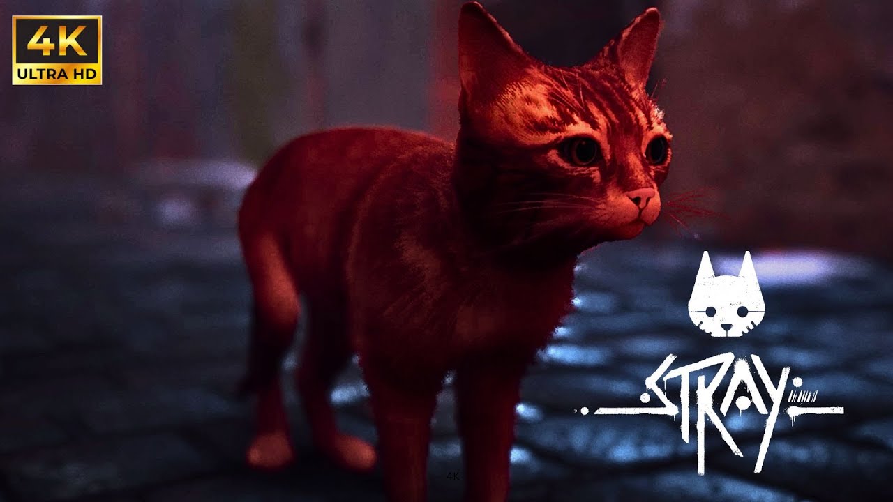 STRAY ||| Gameplay WALKTHROUGH Part #2 ||| [4K 60FPS PC] No Commentary ...