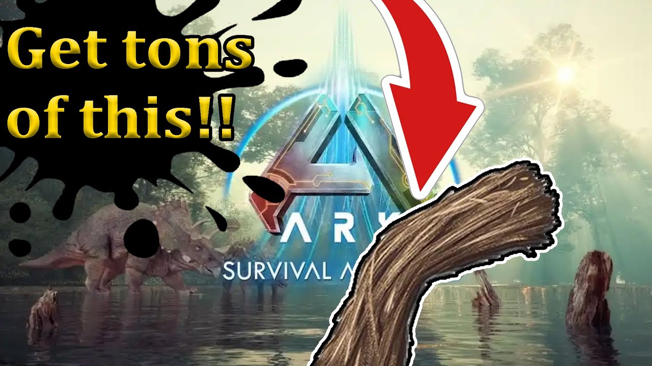 Best way to gather fiber Ark Survival Ascended - YouTube