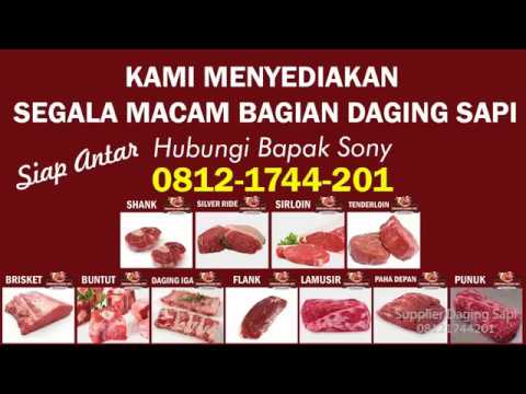 0851-0072-8036 | Distributor Daging Sapi India, Distributor Daging Sapi ...