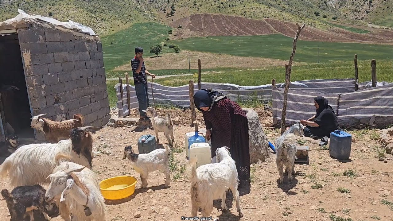 Nomadic life: daily life of nomads in beautiful nature - YouTube