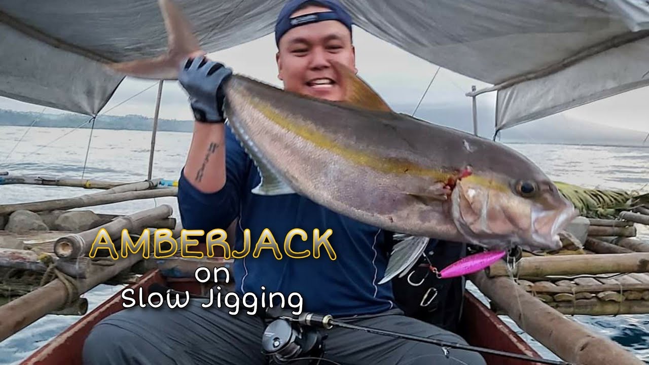 Amberjack on Slow Jigging | Afternoon quick sesh - YouTube