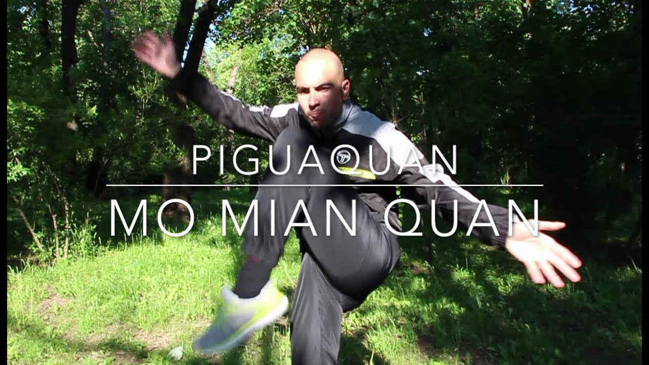 Tao de la boxe Piguaquan Mo Mian Quan - YouTube