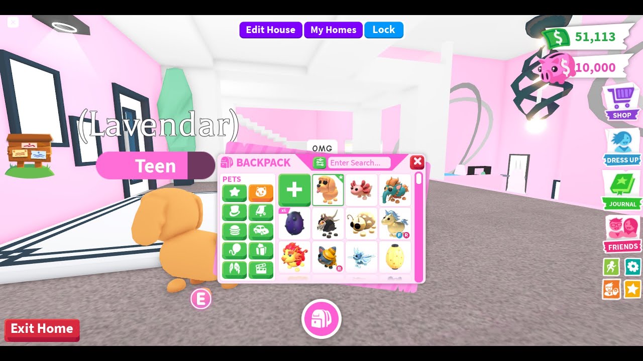 #adoptme backpack reveal very rich!! - YouTube